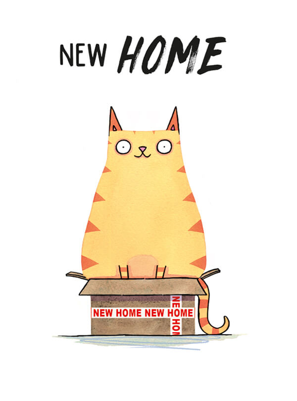 Droolius Caesar! Greeting Card Range for Paperlink – Hireillo | Hire an ...