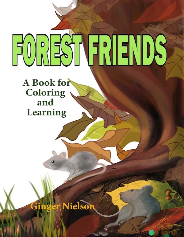 Forest Friends Coloring and Learning Book – Hireillo | Hire an Illustrator