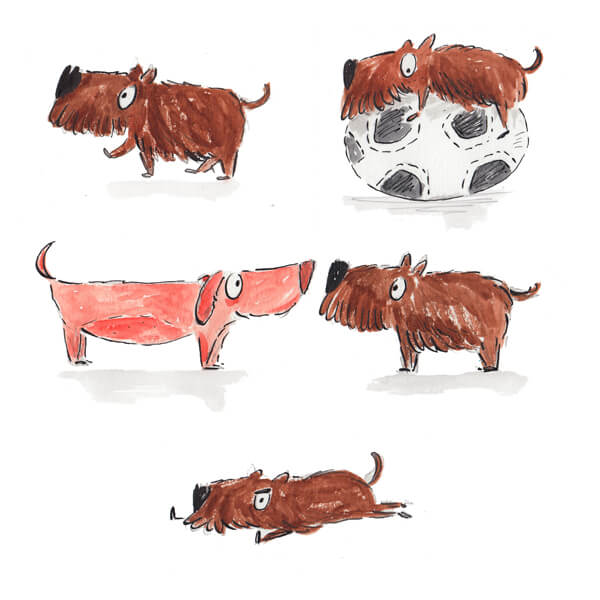 Animal Character Designs 2019 – Hireillo | Hire an Illustrator