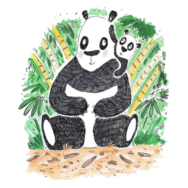 Panda Bear Character Study – Hireillo | Hire an Illustrator