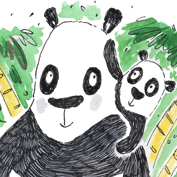 Panda Bear Character Study – Hireillo | Hire an Illustrator