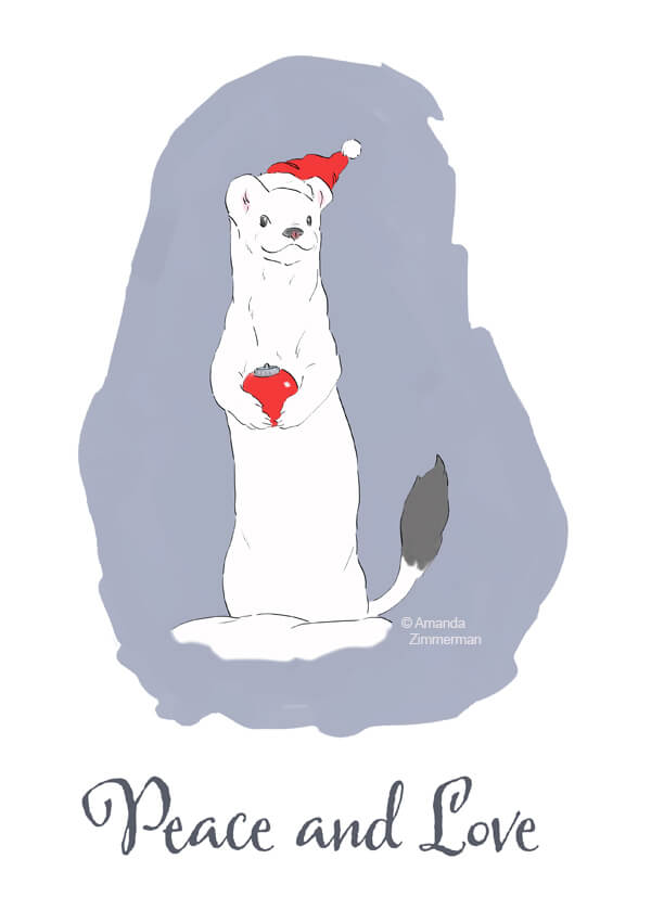 Amanda Zimmerman – Hireillo | Hire an Illustrator