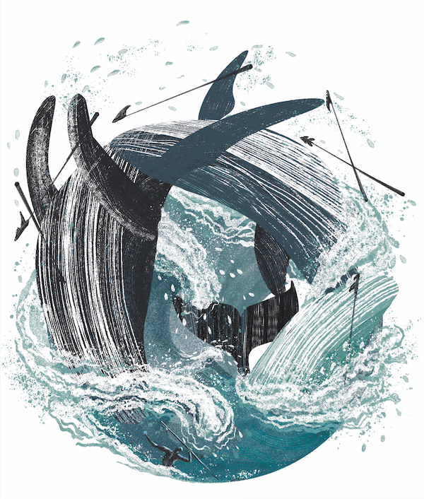 Magical and Mystical Book Cover Designs – Hireillo | Hire an Illustrator