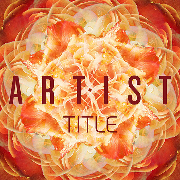 Album Cover Samples – Hireillo | Hire an Illustrator