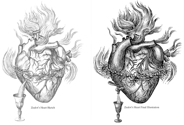 Zealot’s Heart Gin Key Ingredients – Hireillo | Hire an Illustrator