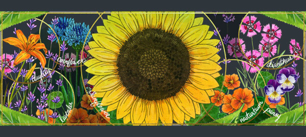 Edible Flowers Illustration for They Draw and Cook – Hireillo | Hire an ...