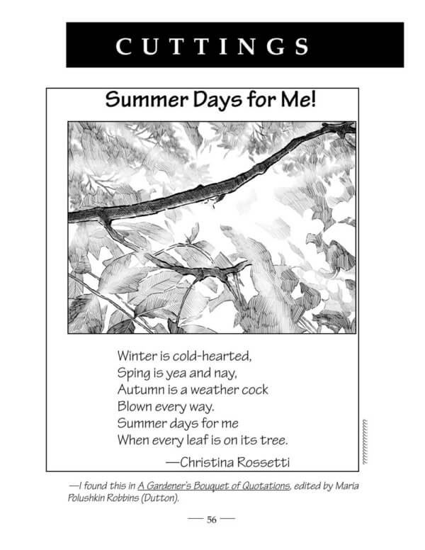 Buds Illustration for Greenprints Magazine – Hireillo | Hire an Illustrator