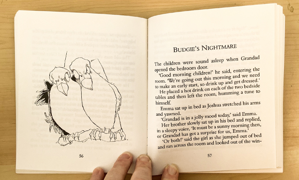 The Magic Plate Stories, Minerva Press – Hireillo | Hire an Illustrator