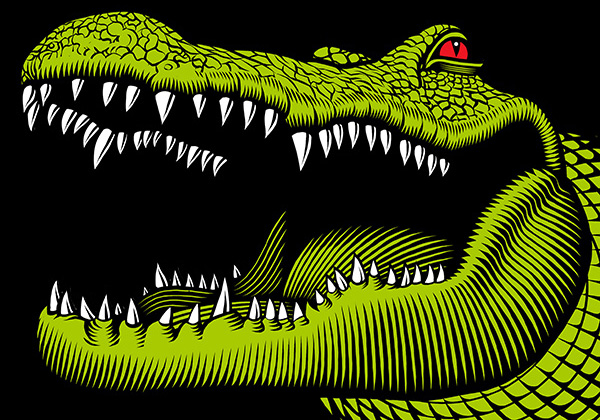 Alligator Drool Brewing Company Beer Label – Hireillo | Hire an Illustrator