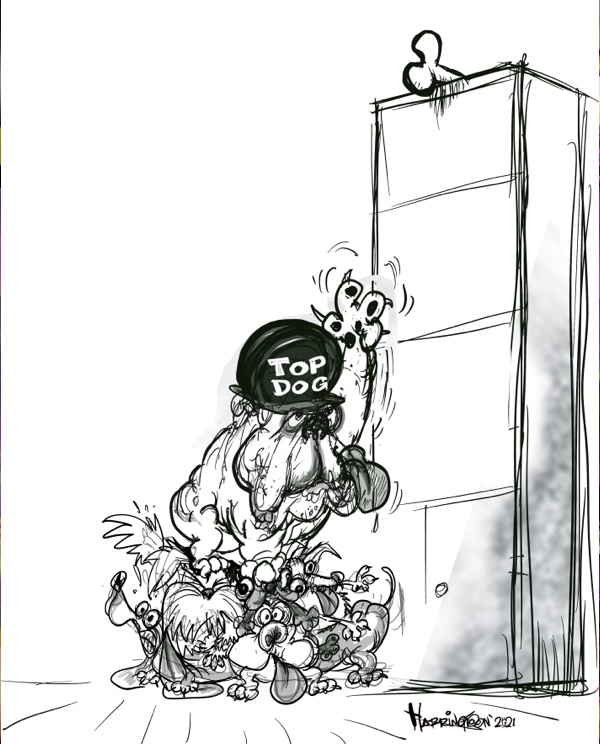 Book Cover and Business Cartoons for Lean Learning Center – Hireillo ...