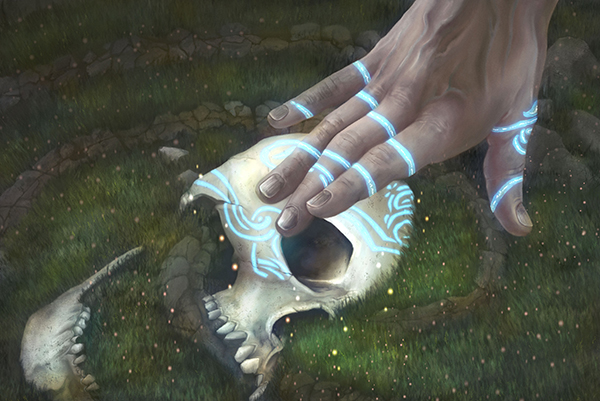 Skull Collector – Hireillo | Hire an Illustrator