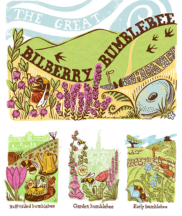 Bumblebee Conservation Trust: The Great Bilberry Bumblebee Hunt ...