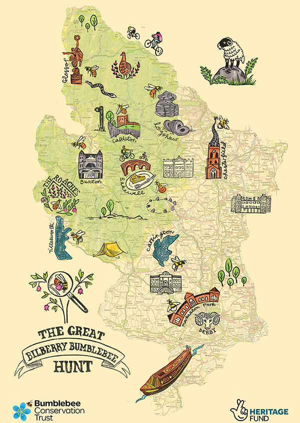 Bumblebee Conservation Trust: The Great Bilberry Bumblebee Hunt ...