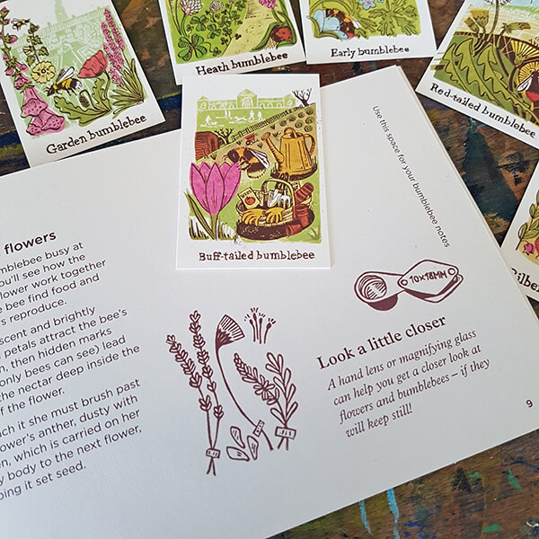 Bumblebee Conservation Trust: The Great Bilberry Bumblebee Hunt ...