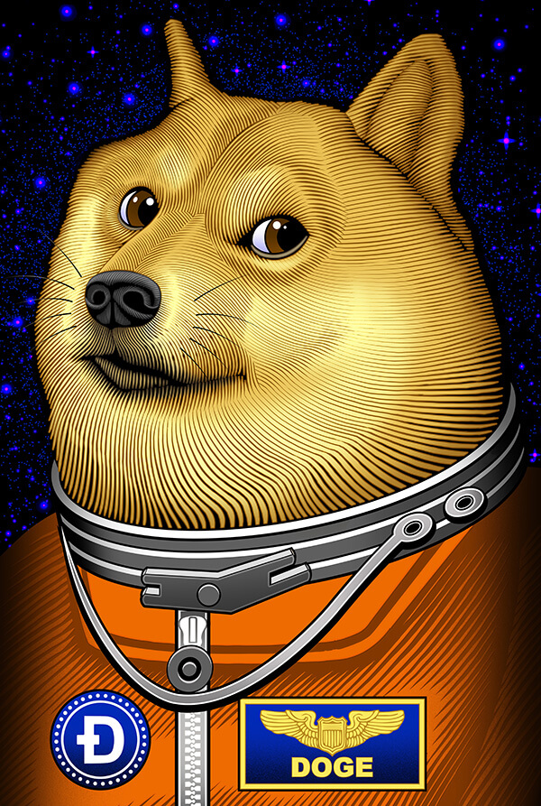 Doge to the Moon Rash Guard Illustration – Hireillo | Hire an Illustrator