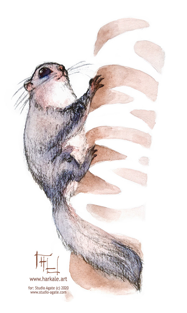 TTRPG animals – Hireillo | Hire an Illustrator