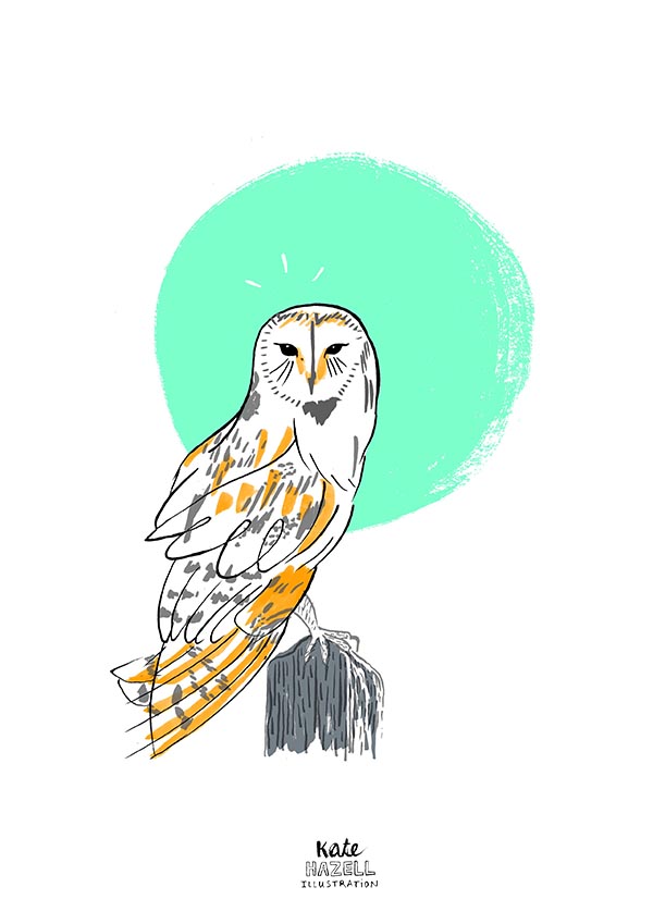 Upcoming Exhibition at Bristol Aquarium – Hireillo | Hire an Illustrator