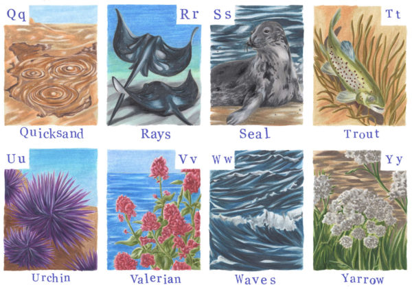 Coastal Alphabet, Complete! – Hireillo | Hire an Illustrator