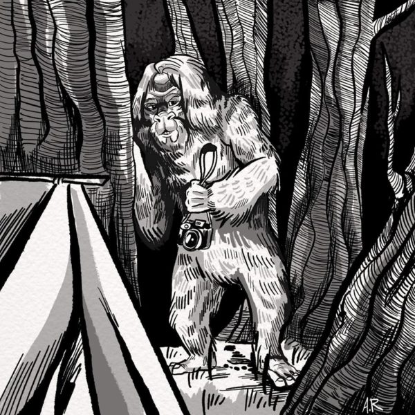 Spooky Cryptids- Almost Halloween! – Hireillo | Hire an Illustrator