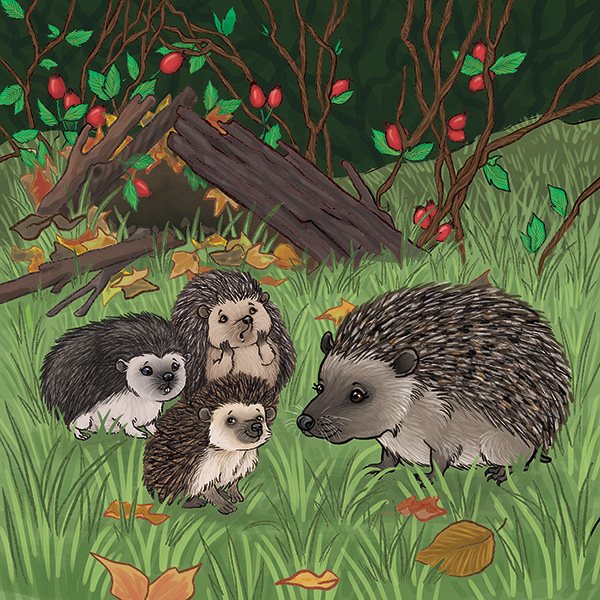 New Book Featuring Hedgehogs Ready for the Autumn Season – Hireillo ...