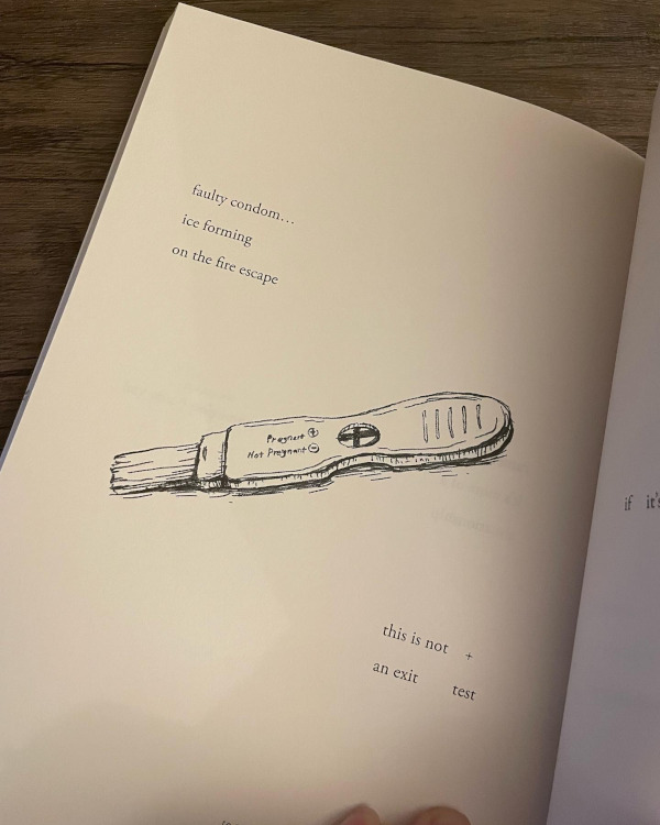 Illustrations for Modern Haiku Book Pages – Hireillo | Hire an Illustrator