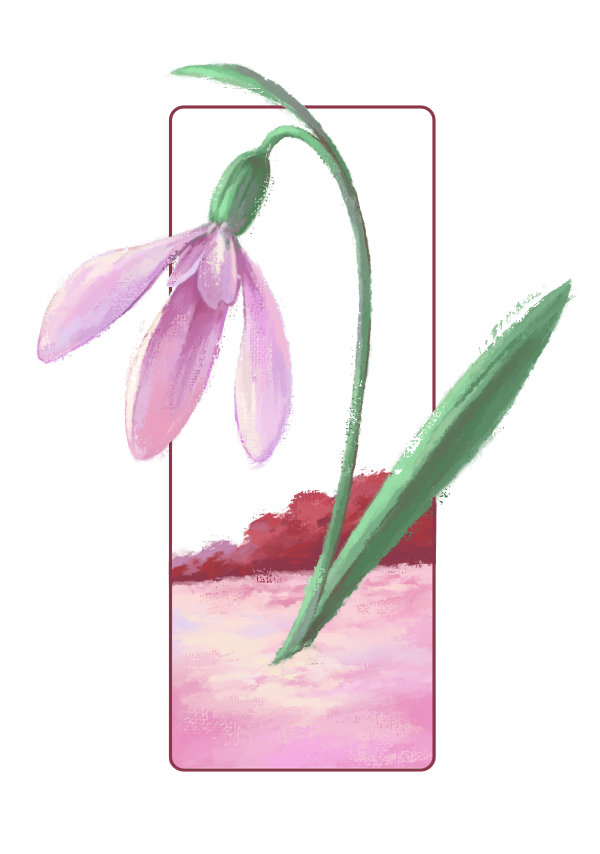 January Birthstone and Birth Flower Inspired Illustration – Flowers for ...
