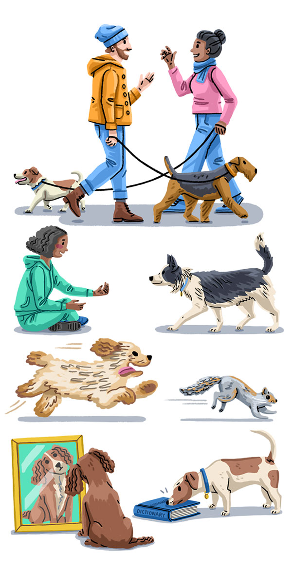 Petplan Website and Newsletter Illustrations – Hireillo | Hire an ...