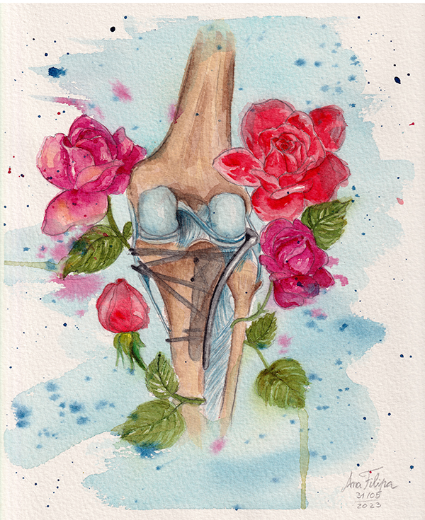 Blooming Resilience: An Illustrated Journey of Knee Recovery – Hireillo ...