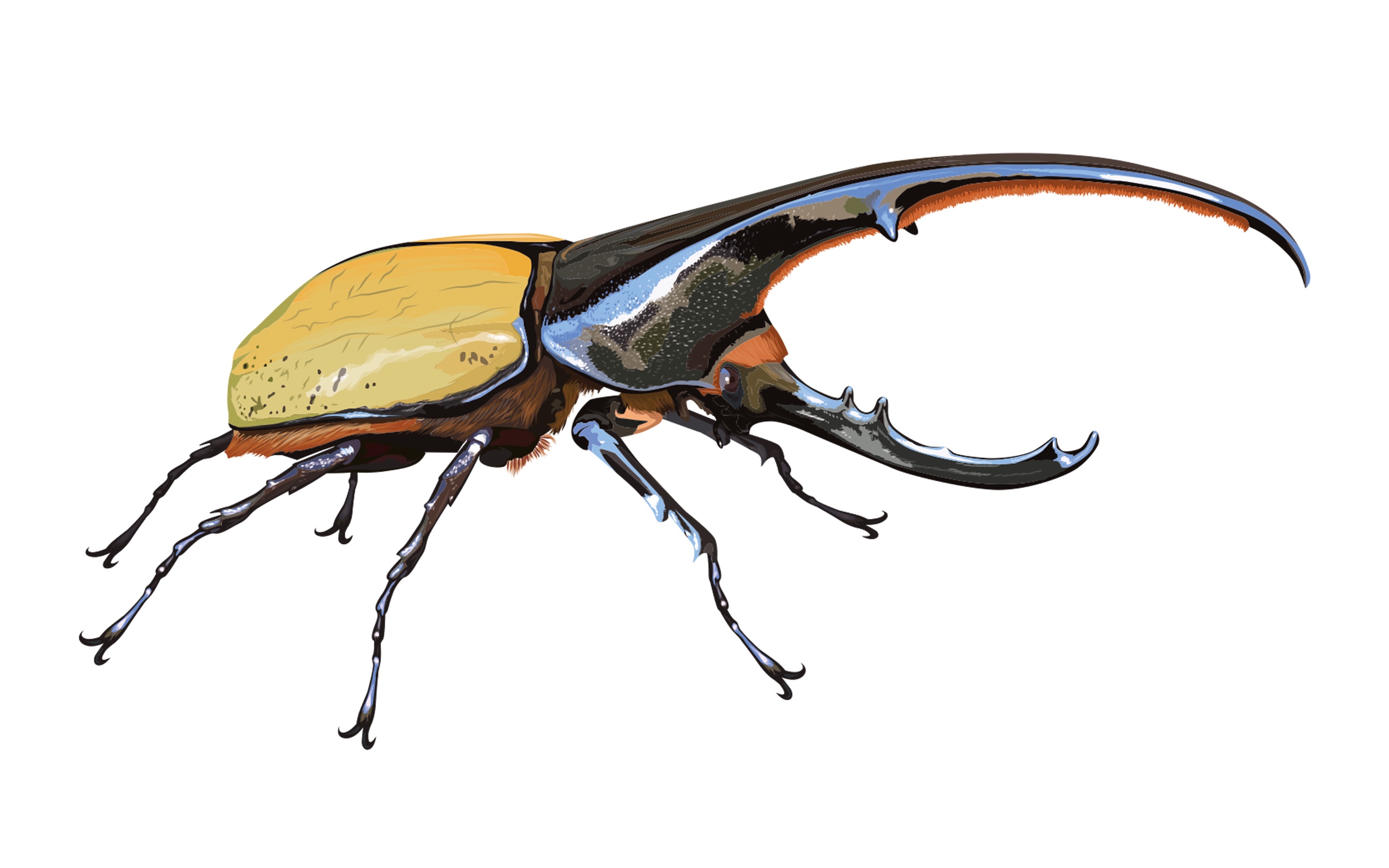 Mike Hughes – Hireillo | Hire an Illustrator