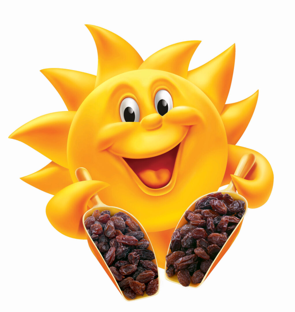 Kellogg’s NEW Sunny character for Bran line of cereal advertising ...