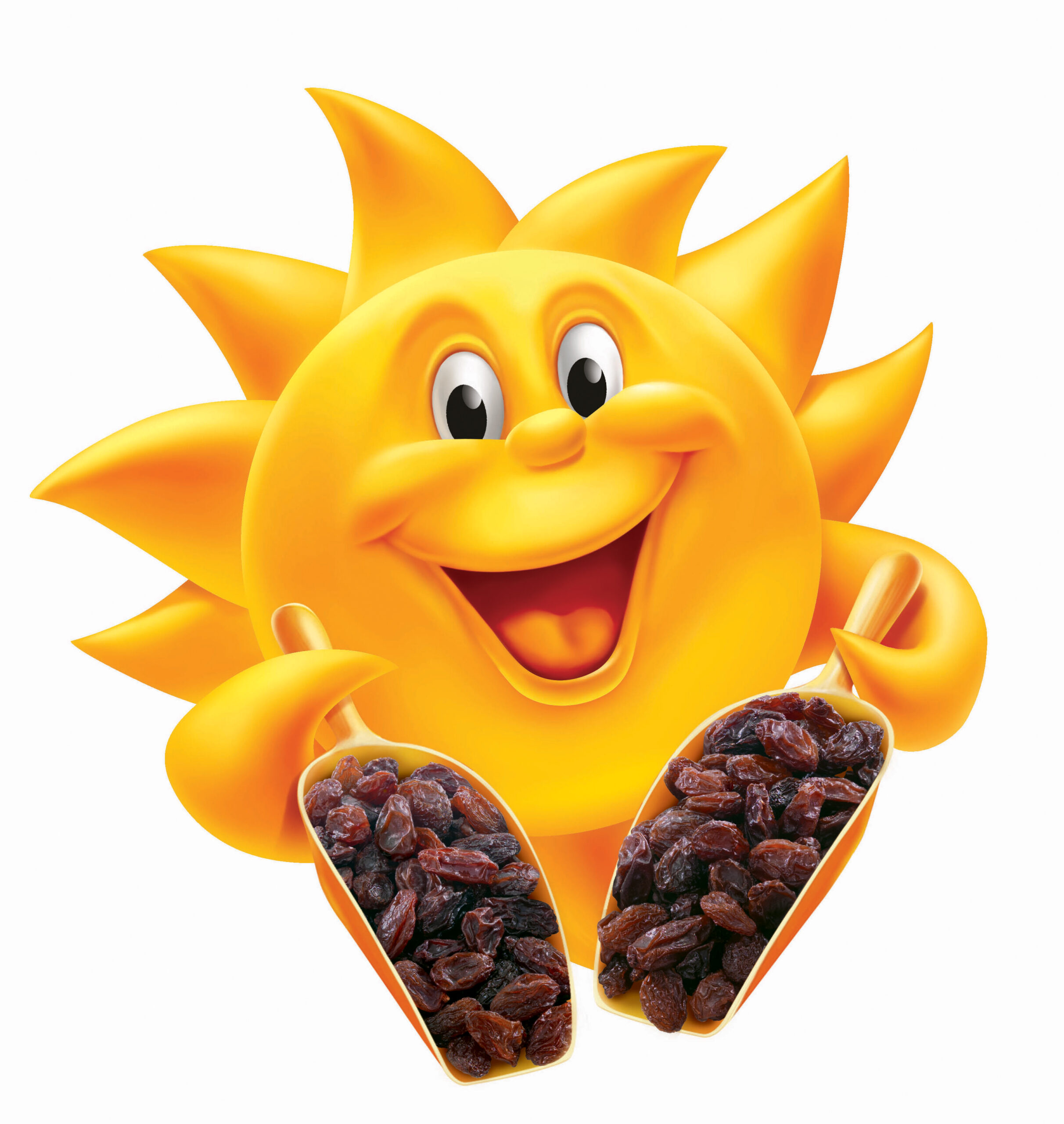Kellogg’s NEW Sunny character for Bran line of cereal advertising ...