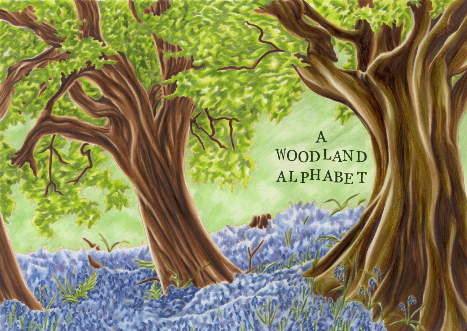 Woodland Alphabet – Hireillo | Hire an Illustrator