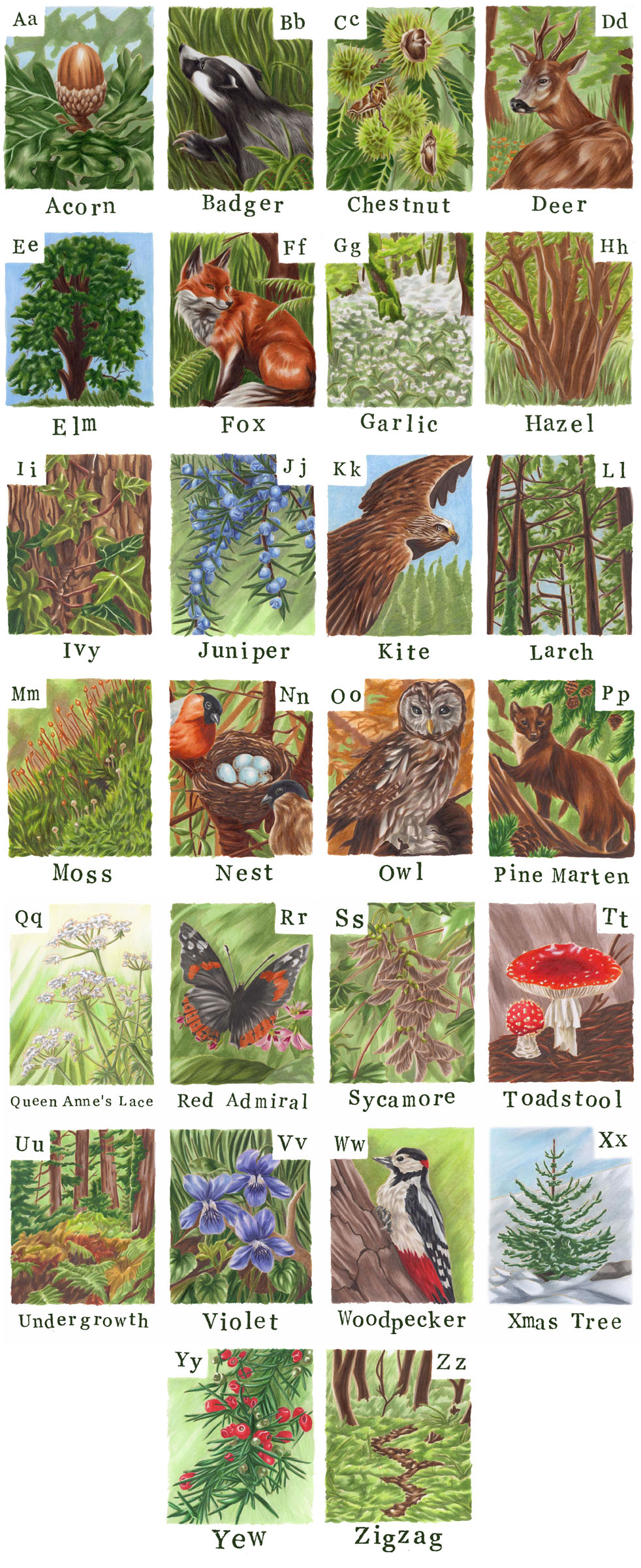 Woodland Alphabet – Hireillo | Hire an Illustrator