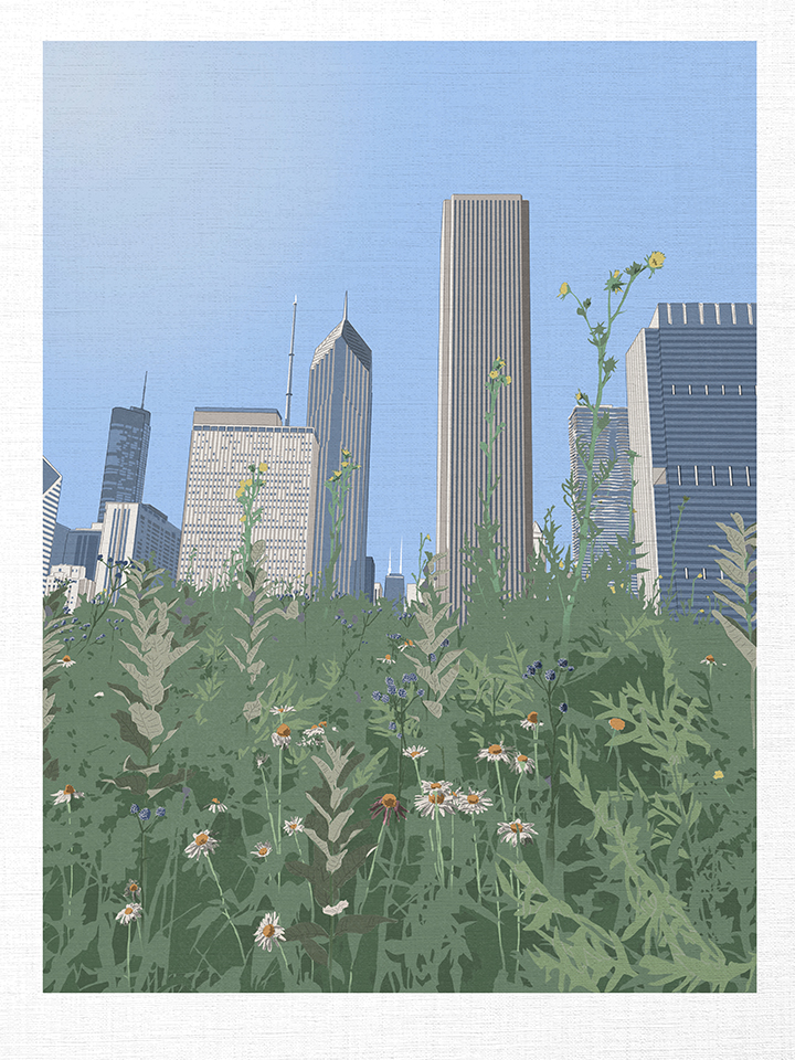 Cityscape and Landscape Illustrations – Hireillo | Hire an Illustrator