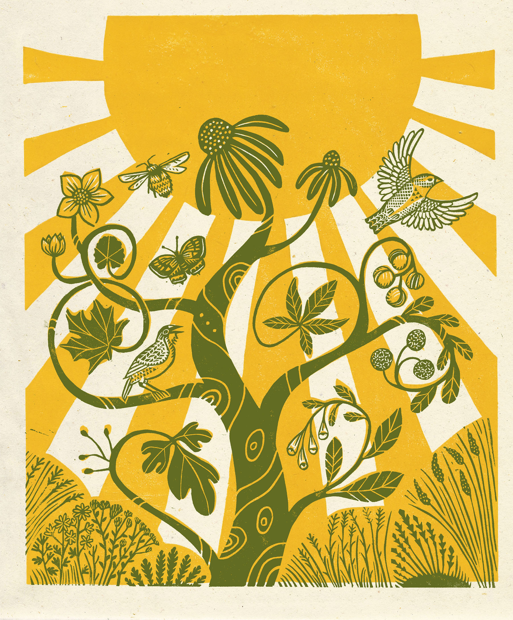 Prairie Life for University of Dayton Magazine – Hireillo | Hire an ...