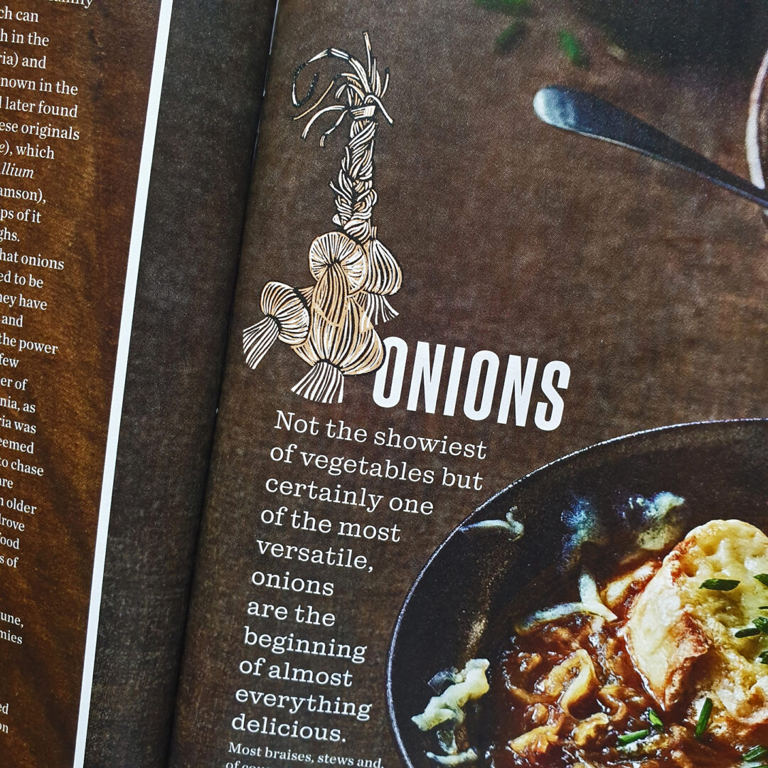 Alliums for Waitrose Food – Hireillo | Hire an Illustrator