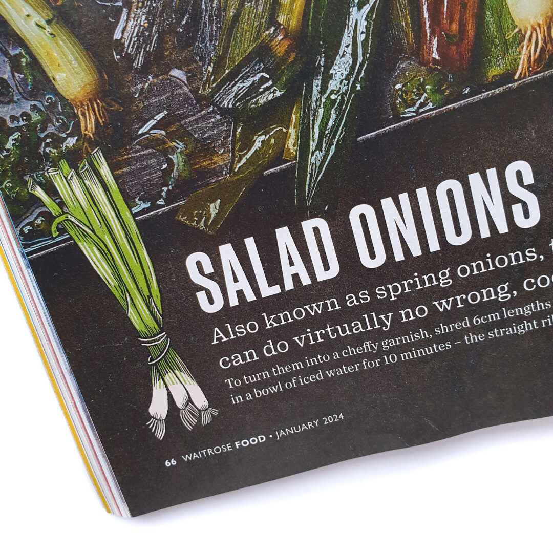 Alliums for Waitrose Food – Hireillo | Hire an Illustrator