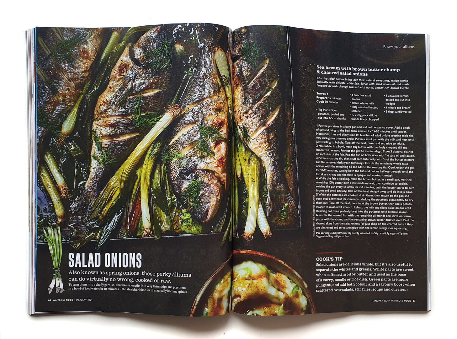 Alliums for Waitrose Food – Hireillo | Hire an Illustrator