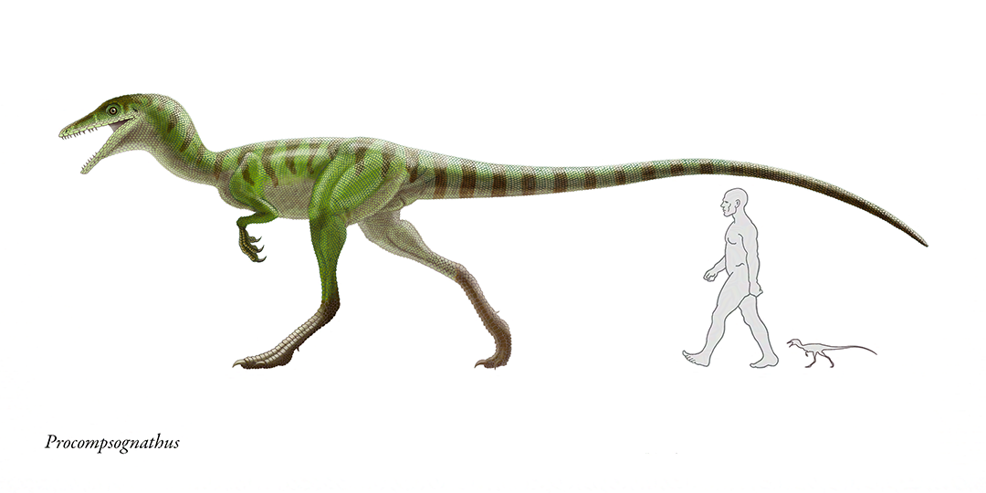 Dinosaurs – Hireillo | Hire an Illustrator