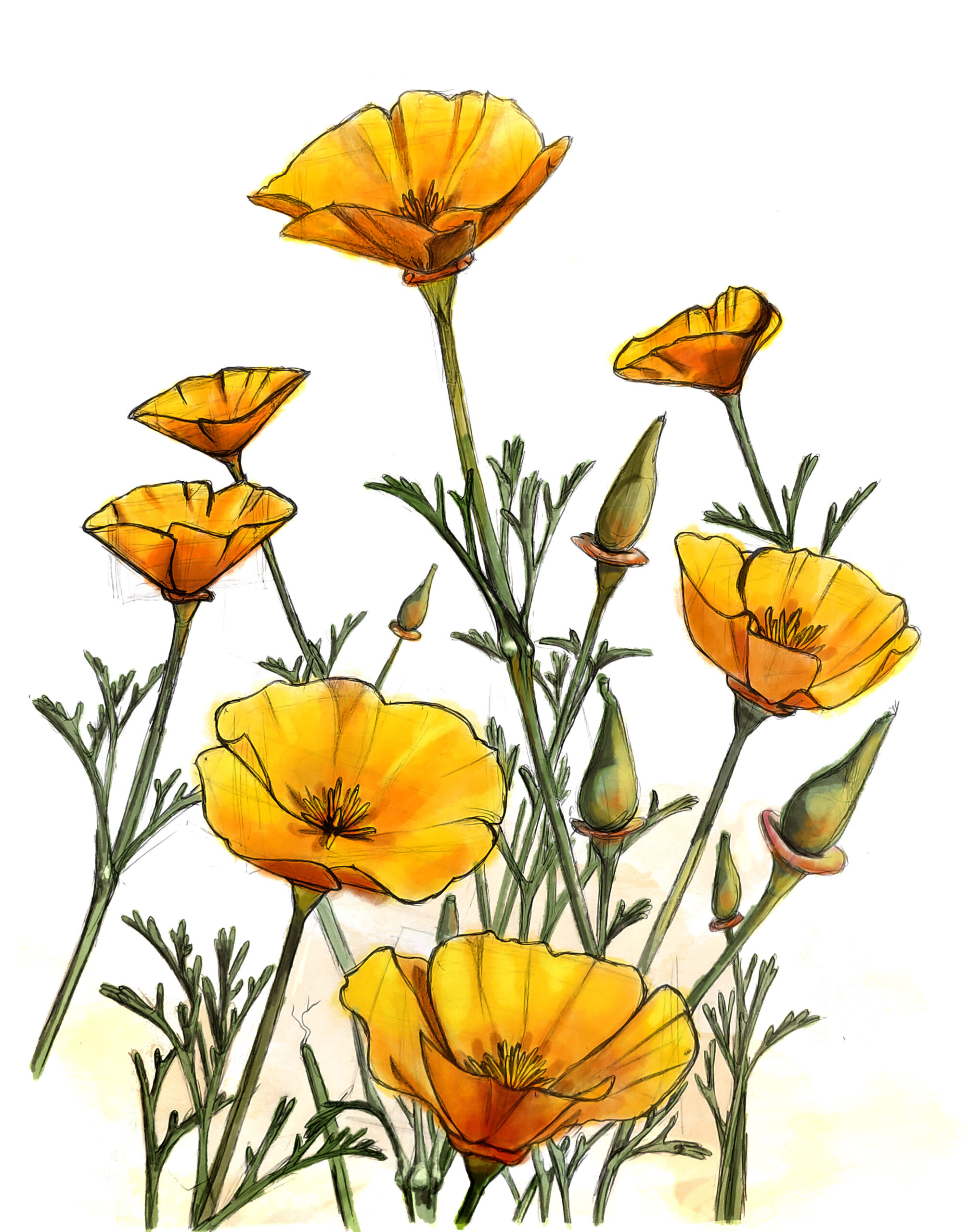 Stationary and greeting cards – Hireillo | Hire an Illustrator