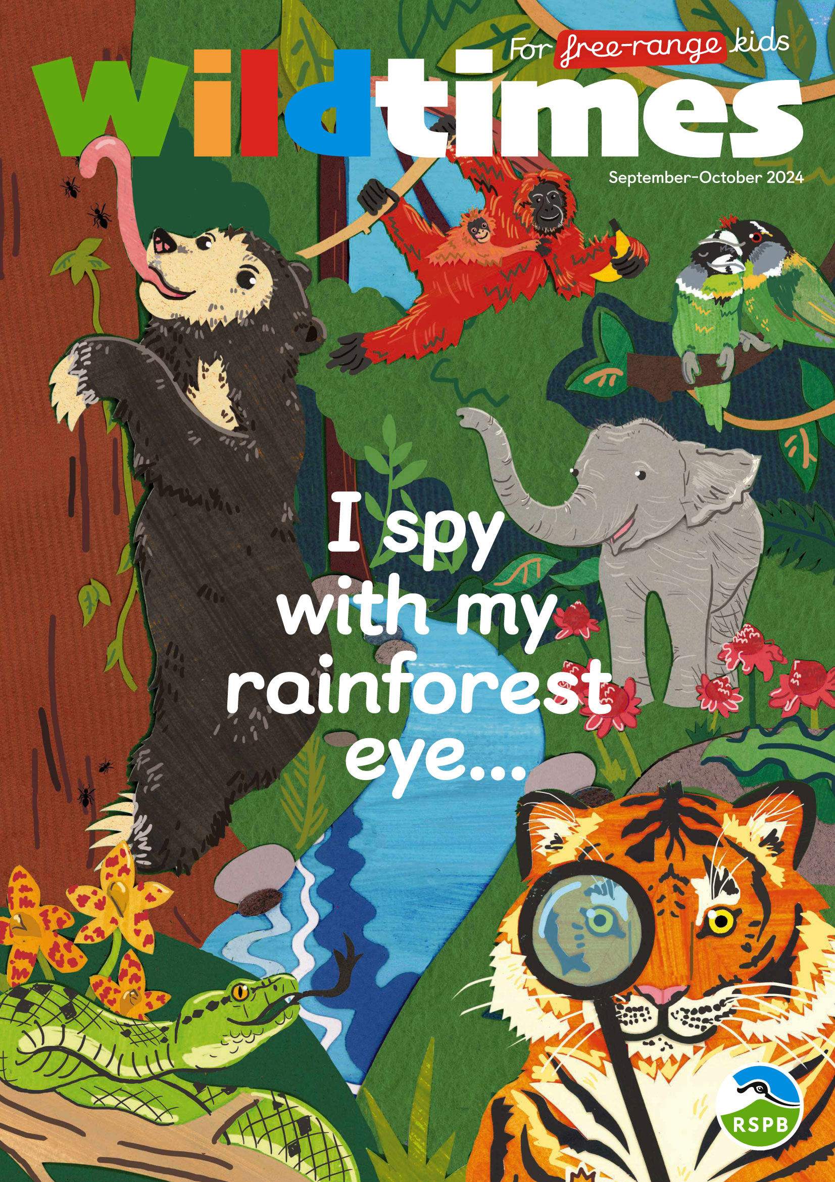 Wild Times Rainforest Cover Art – Hireillo | Hire an Illustrator