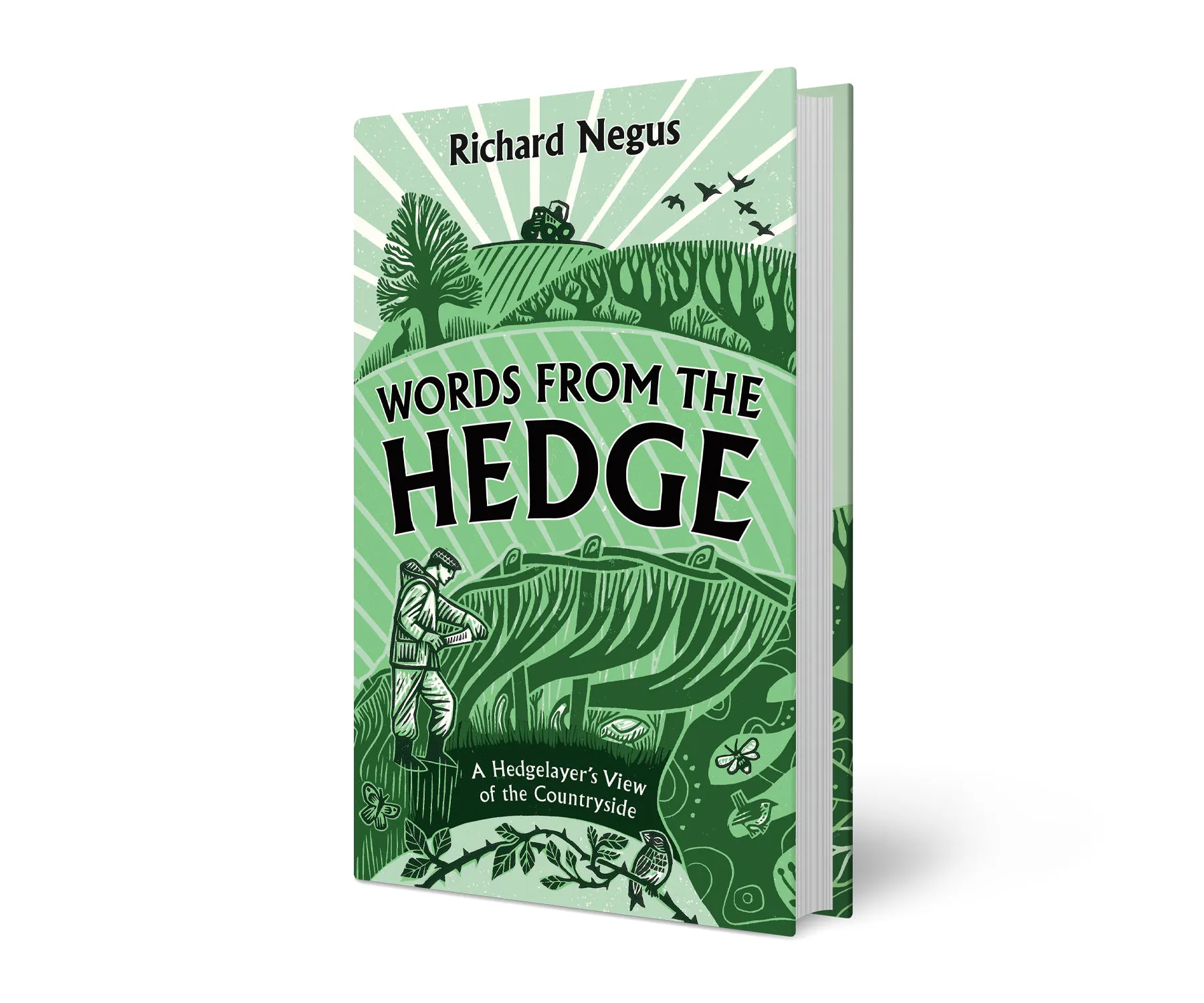 Cover Illustration: Words From The Hedge Book – Hireillo | Hire an ...