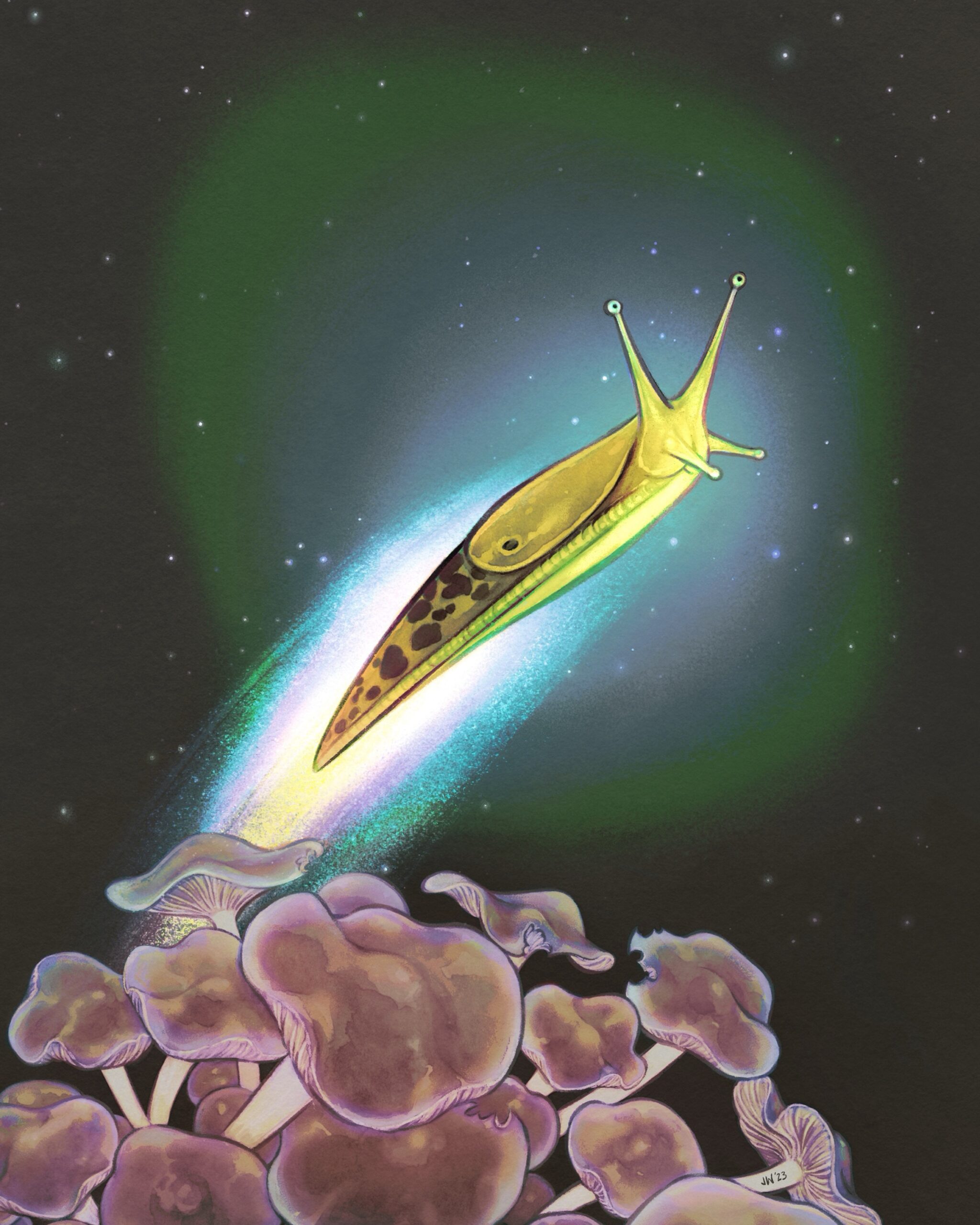 Enlightened Slug – Hireillo | Hire an Illustrator