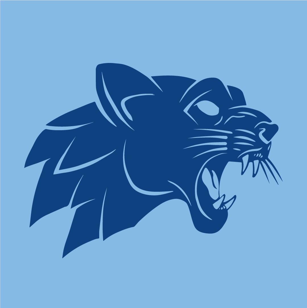 PSU Lion Hoodie – Hireillo | Hire an Illustrator