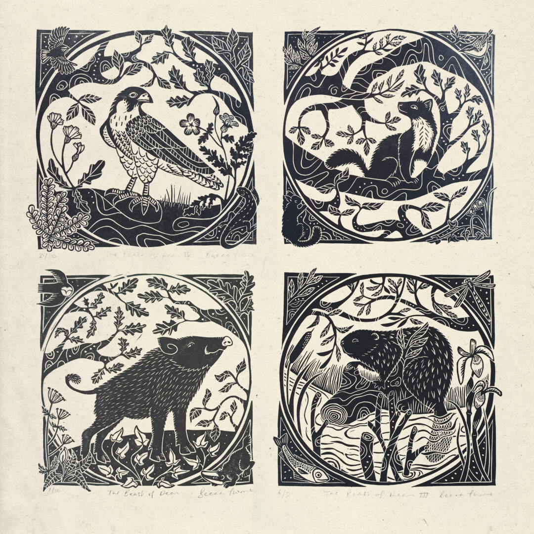 Print, Press and Roll Exhibition, Bristol – Hireillo | Hire an Illustrator
