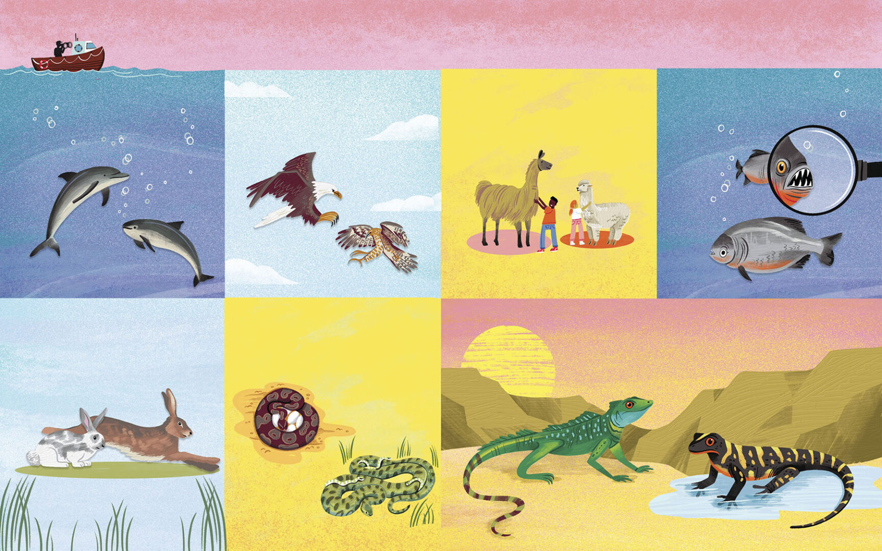 What’s the Actually Factually Difference? – Hireillo | Hire an Illustrator