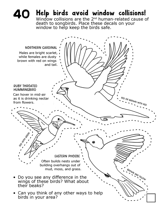 Expanded Edition of Junior Wildlife Rescuer Activity Book – Hireillo ...