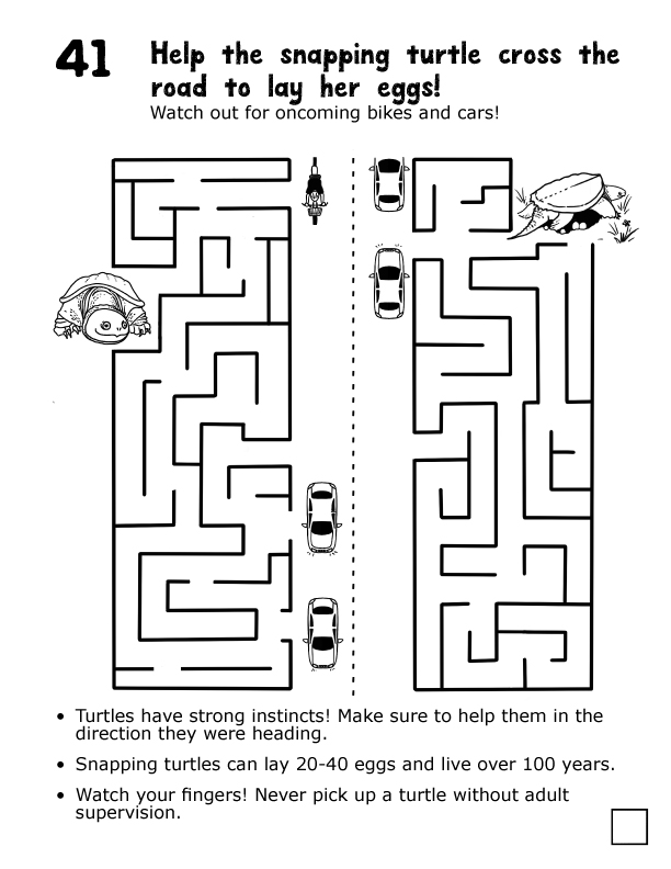 Expanded Edition of Junior Wildlife Rescuer Activity Book – Hireillo ...