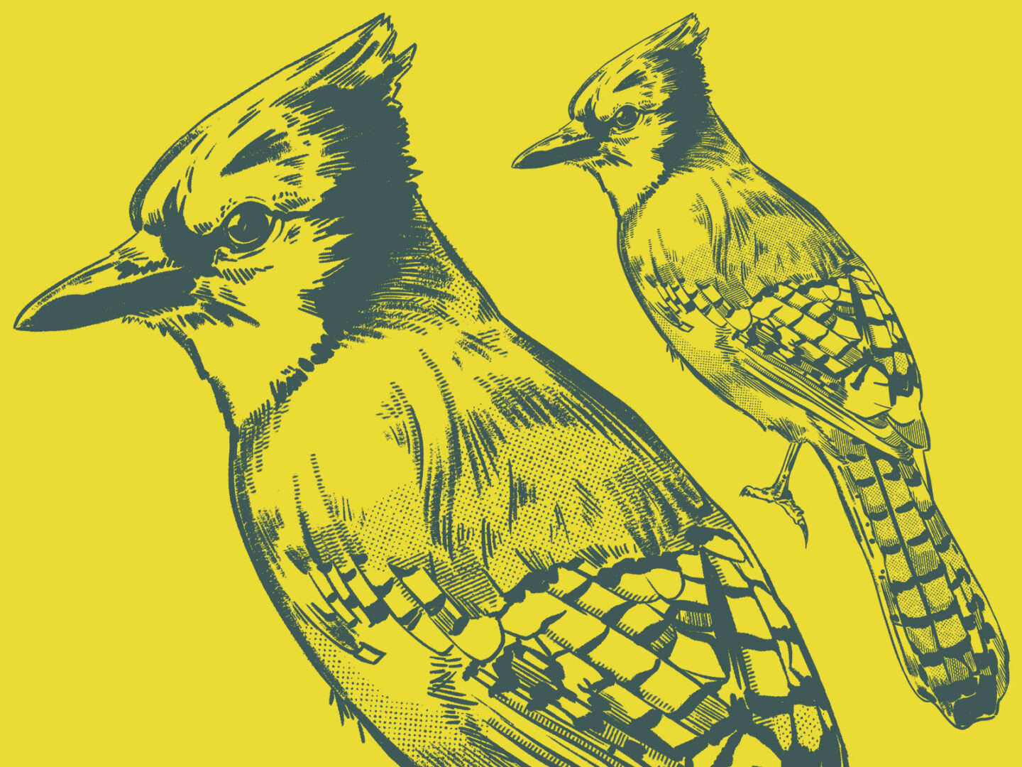 Retro 50s Advertising Vibe – Hireillo | Hire an Illustrator