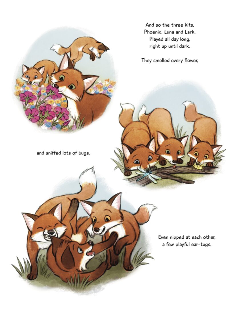 Phoenix the Fox – Hireillo | Hire an Illustrator